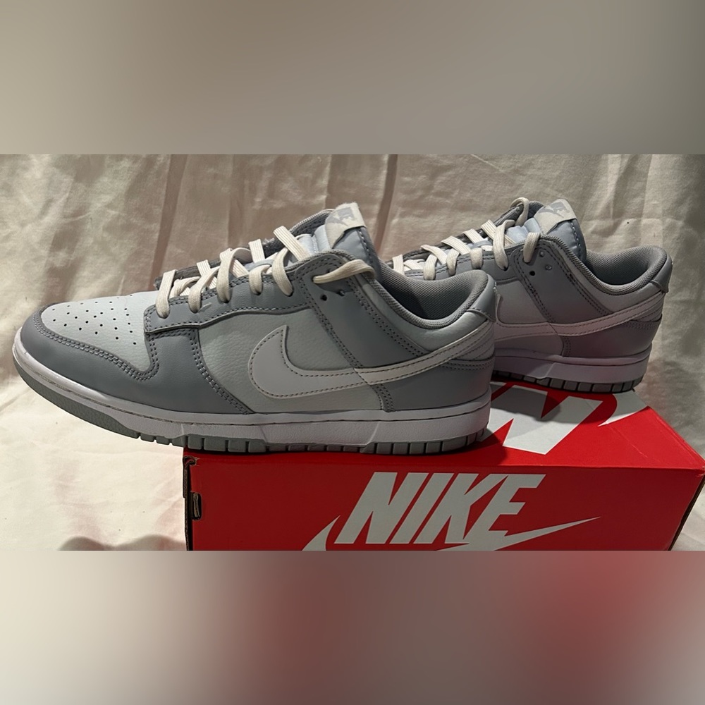 Nike Dunk Grey Special 1st Release Lightly Worn Size … - Gem